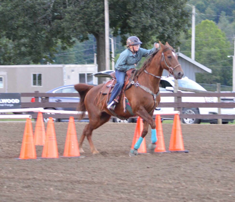 4-H Ridge Runners take part in District VII Horse Show | News, Sports ...